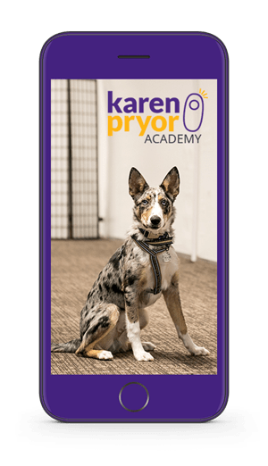 ACE Active Resources - Karen Pryor Academy